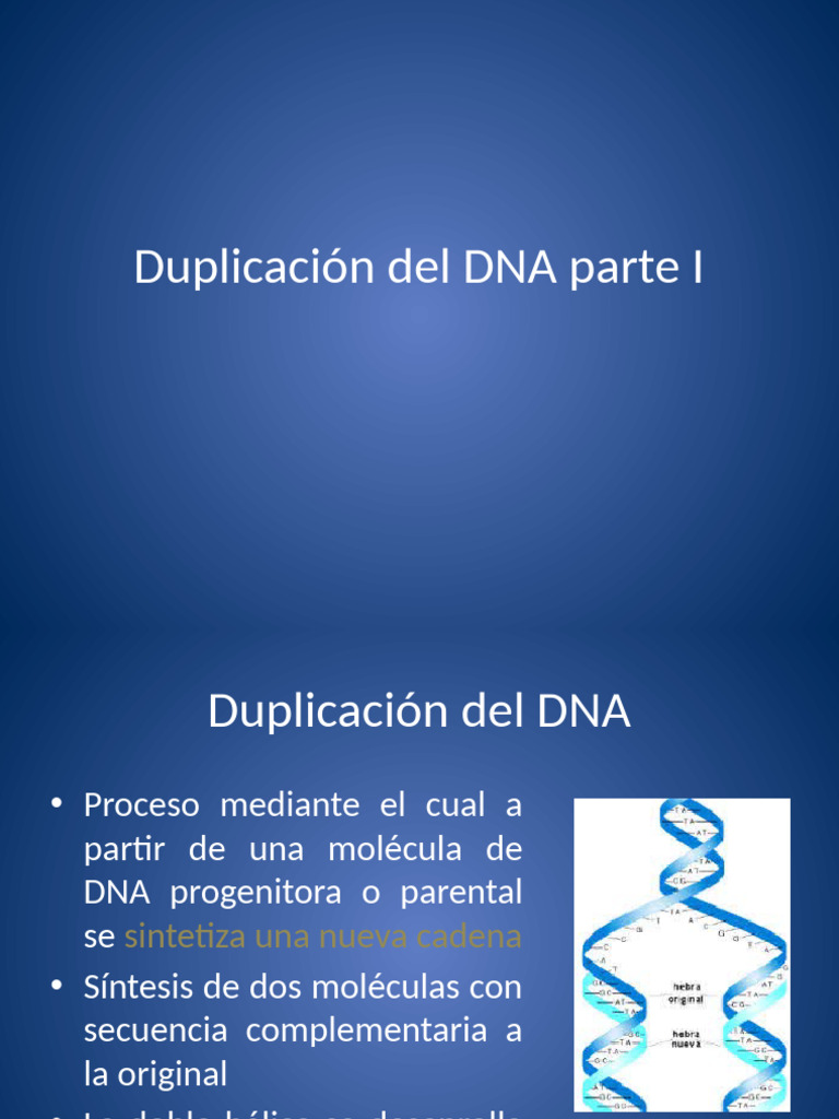 6. Duplicación del DNA | PDF | Replicación De Adn | Adn