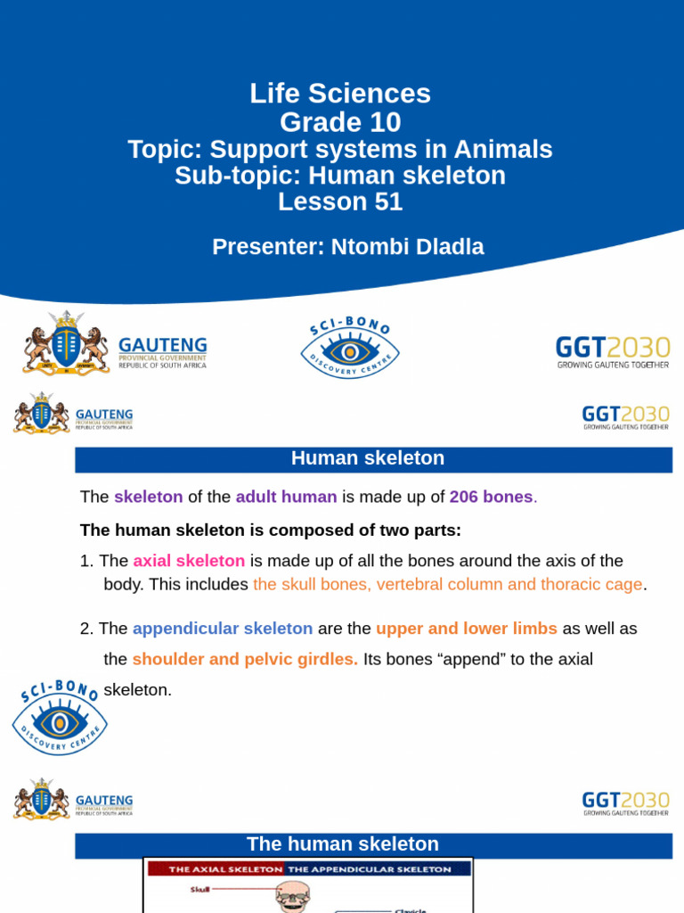 Life Sciences Gr.10 Lesson 51 Support Systems in Animals. Human ...