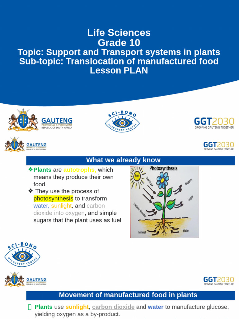 Life Sciences Gr.10 Lesson 50 Support and Transport System in Plants ...