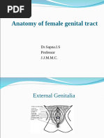 Ligaments of The Female Reproductive Tract - TeachMeAnatomy | PDF ...