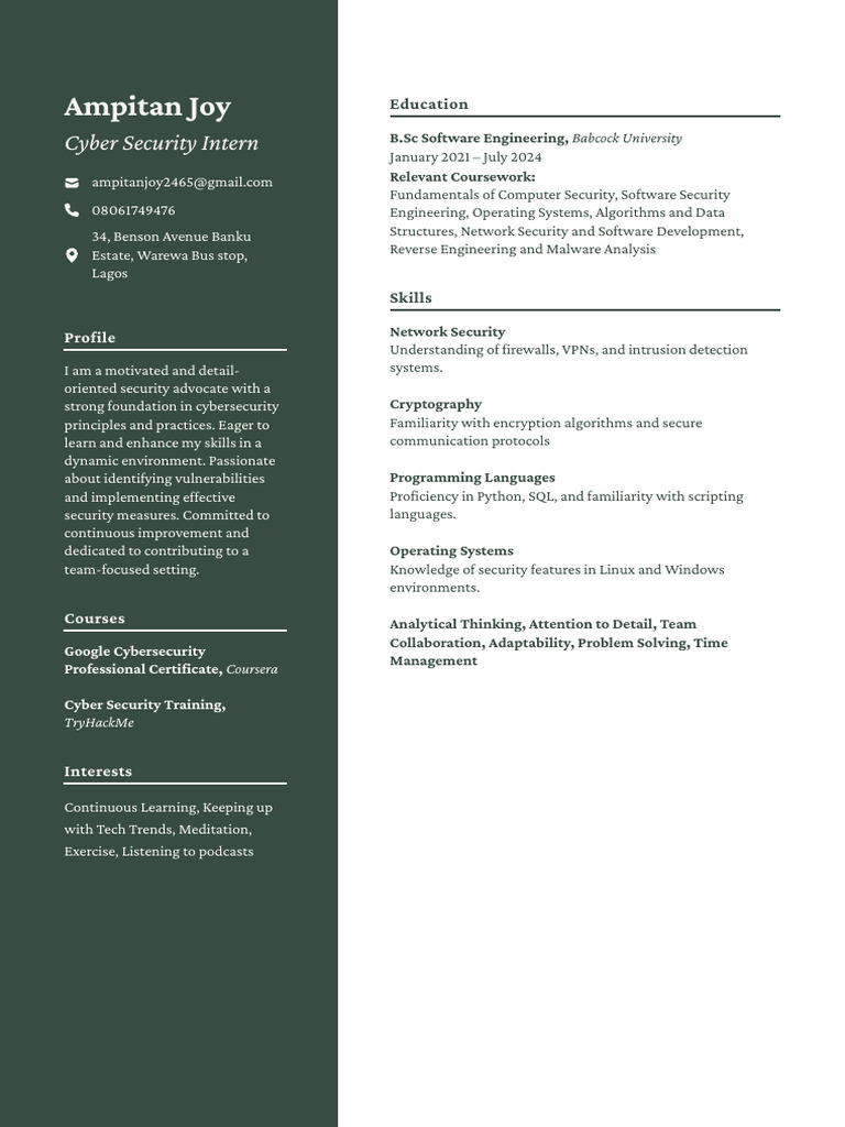 Ampitan Joy CV | PDF | Art