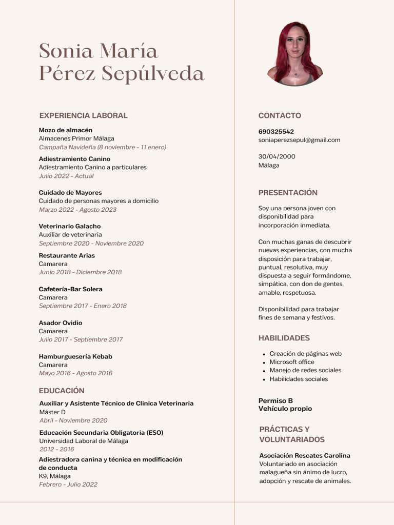 CV Sonia Sepulveda | PDF