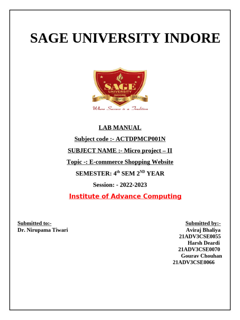 Synop | PDF | E Commerce | Usability