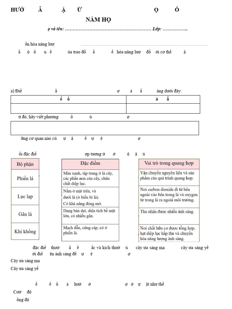 HDOT GKI MÔN KHTN (Sinh) 7 - 2425 | PDF