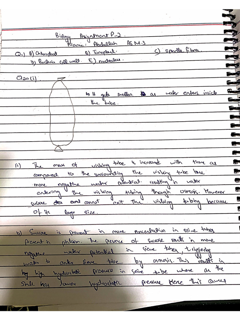 Bio Assignment No 2 | PDF