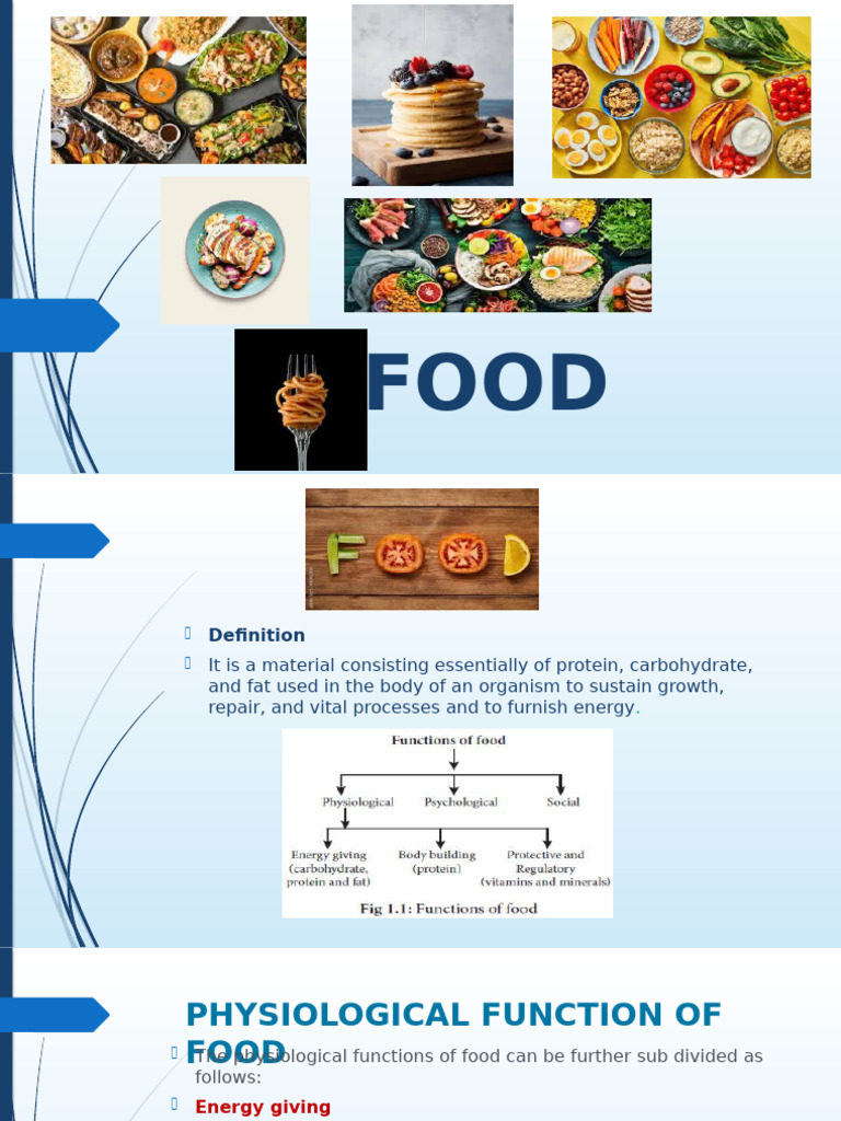 Food - Module 1 | PDF | Fat | Fatty Acid
