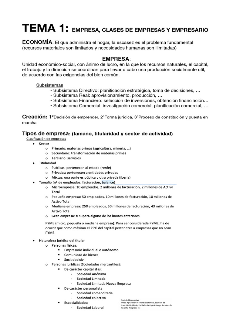 Tema 1 ADE | PDF | Business | Cooperativa