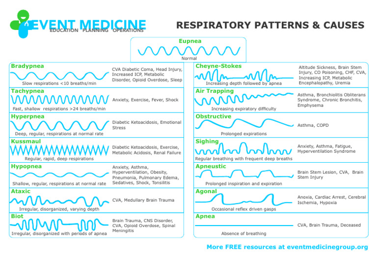 Respiratory Patterns & Causes | PDF | Breathing | Human Diseases And ...