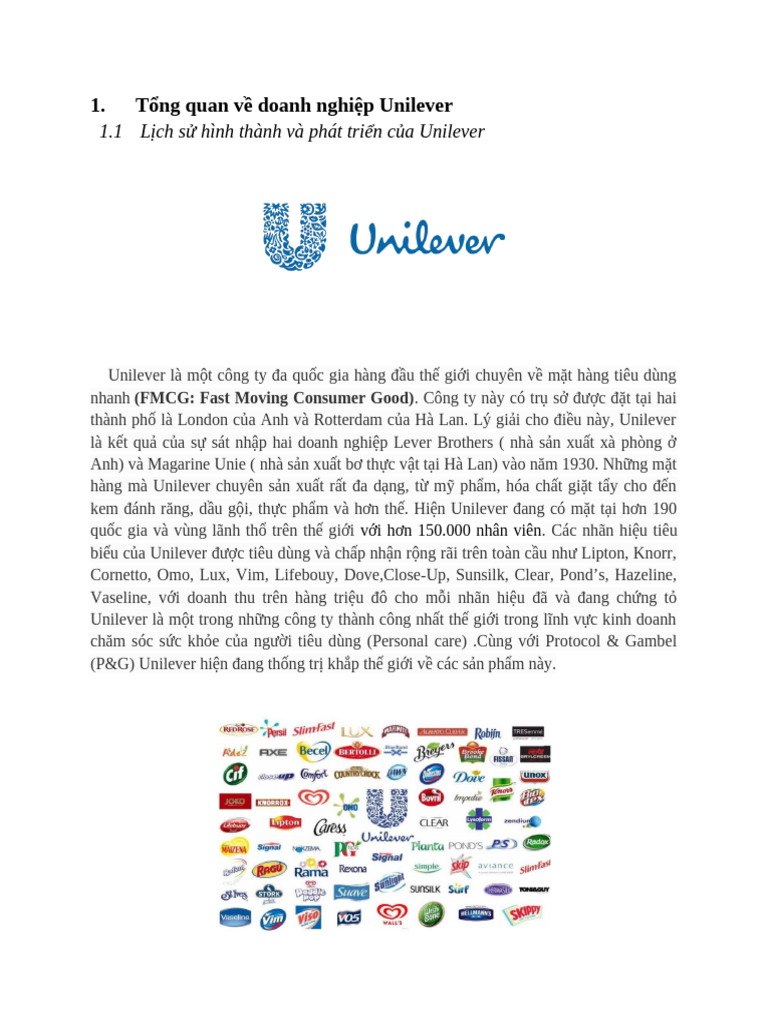 Tổng quan về unilever | PDF