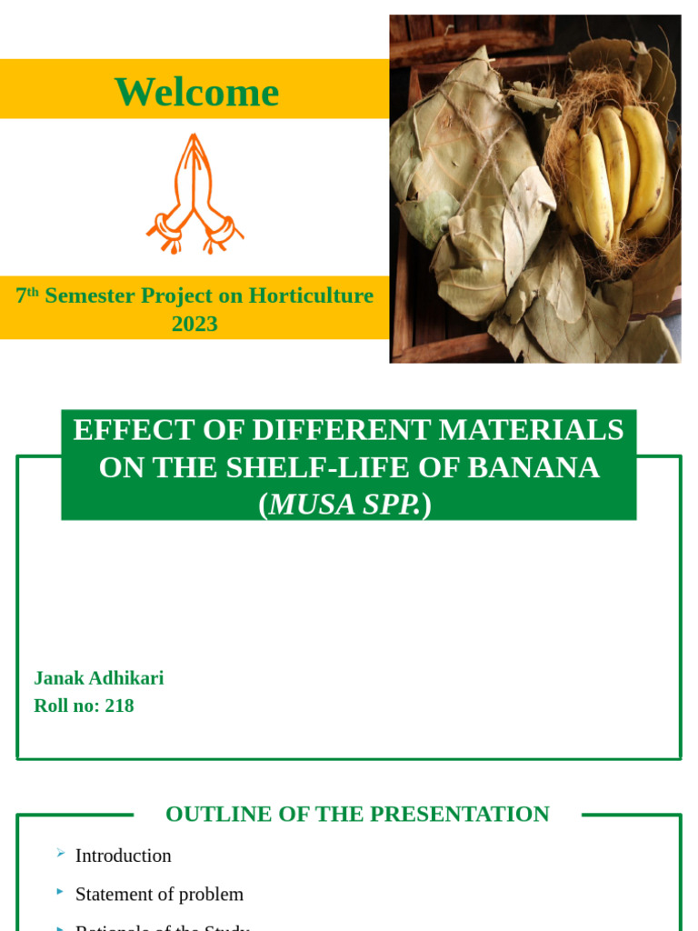 Janak 218 Final | PDF | Banana