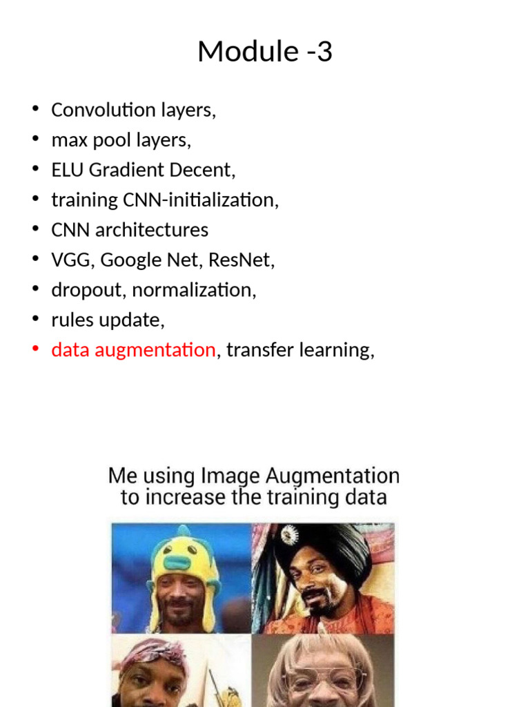 Data Augmentation | PDF