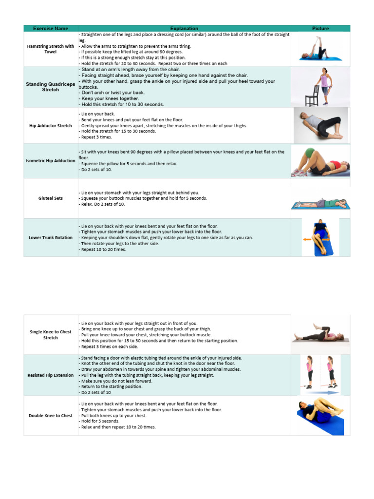 Home Exercise Prescription - SI Joint Pain | PDF | Anatomical Terms Of ...