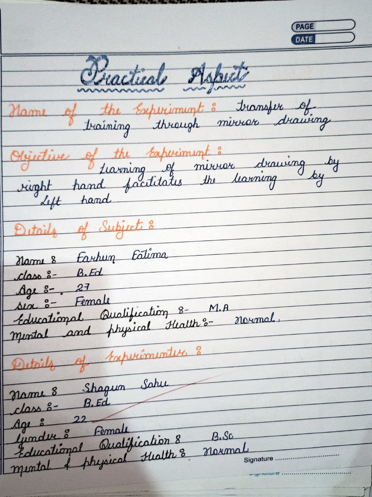 Mirror Drawing BEd Sem 1 | PDF
