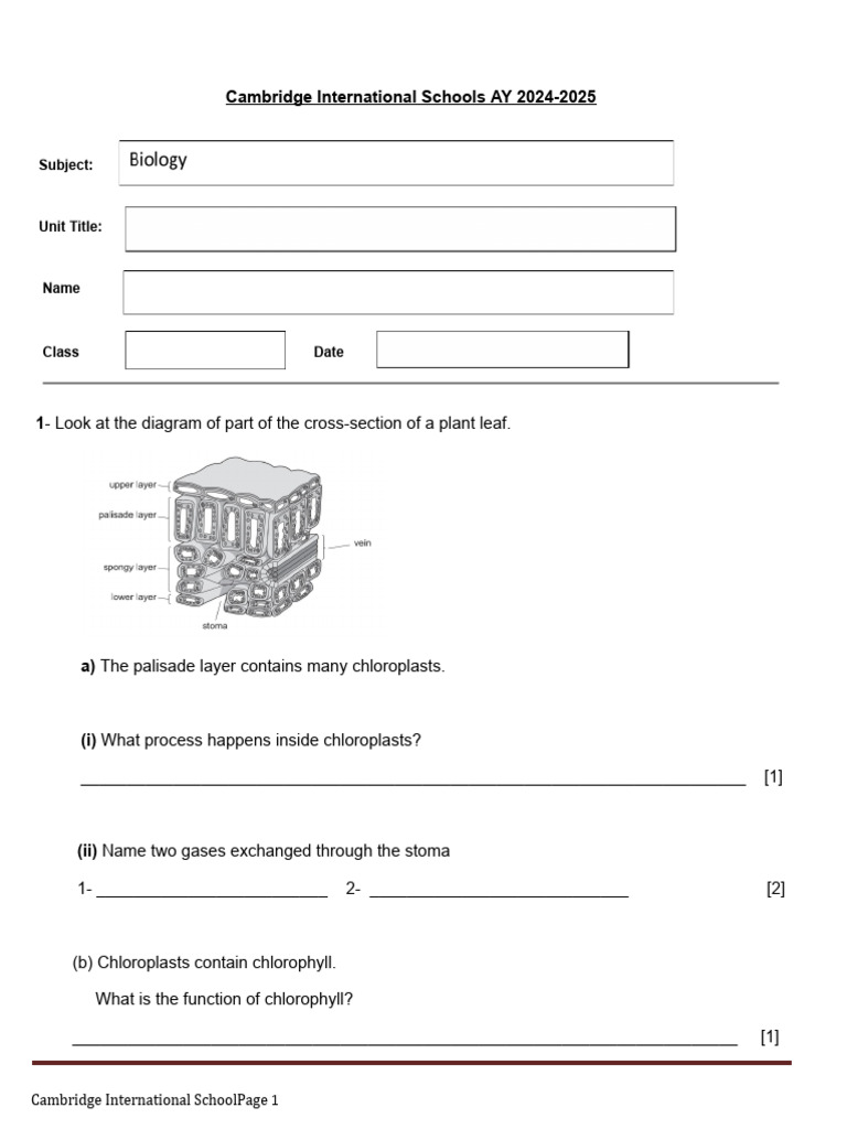 G8 Unit 4 (p2) - QUIZ - 24 - 25 | PDF