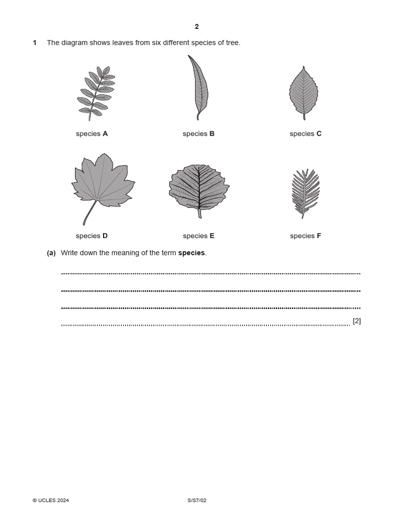 7 Quiz Unit 4 Possible | PDF | Trees | Nutrition