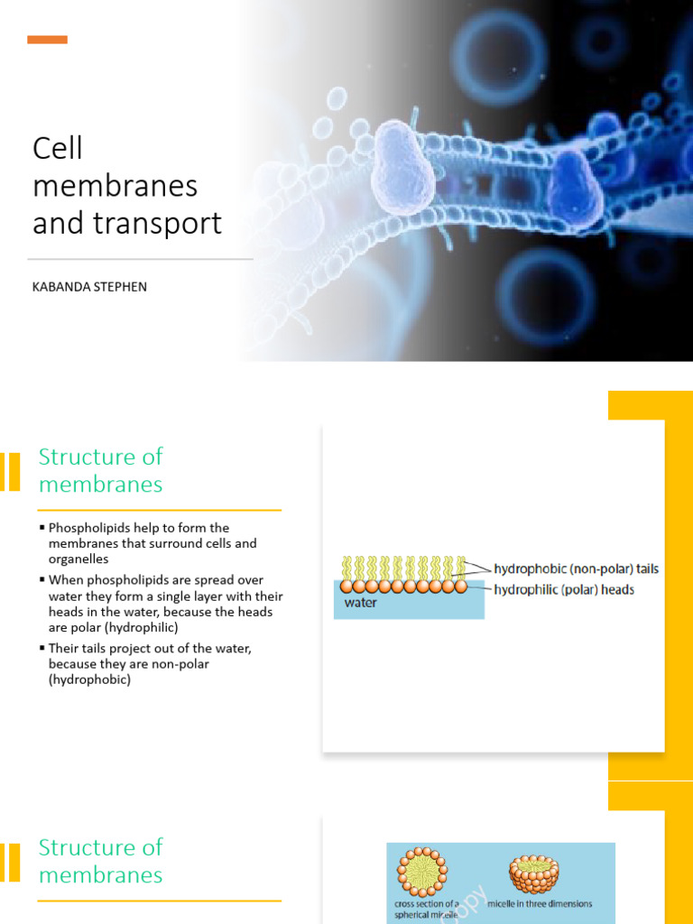 Cell Membranes and Transport | PDF | Cell Signaling | Cell Membrane