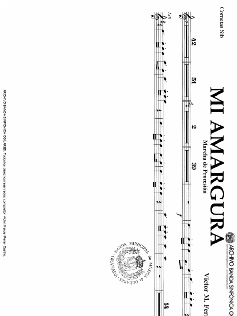 Mi Amargura Tpa | PDF