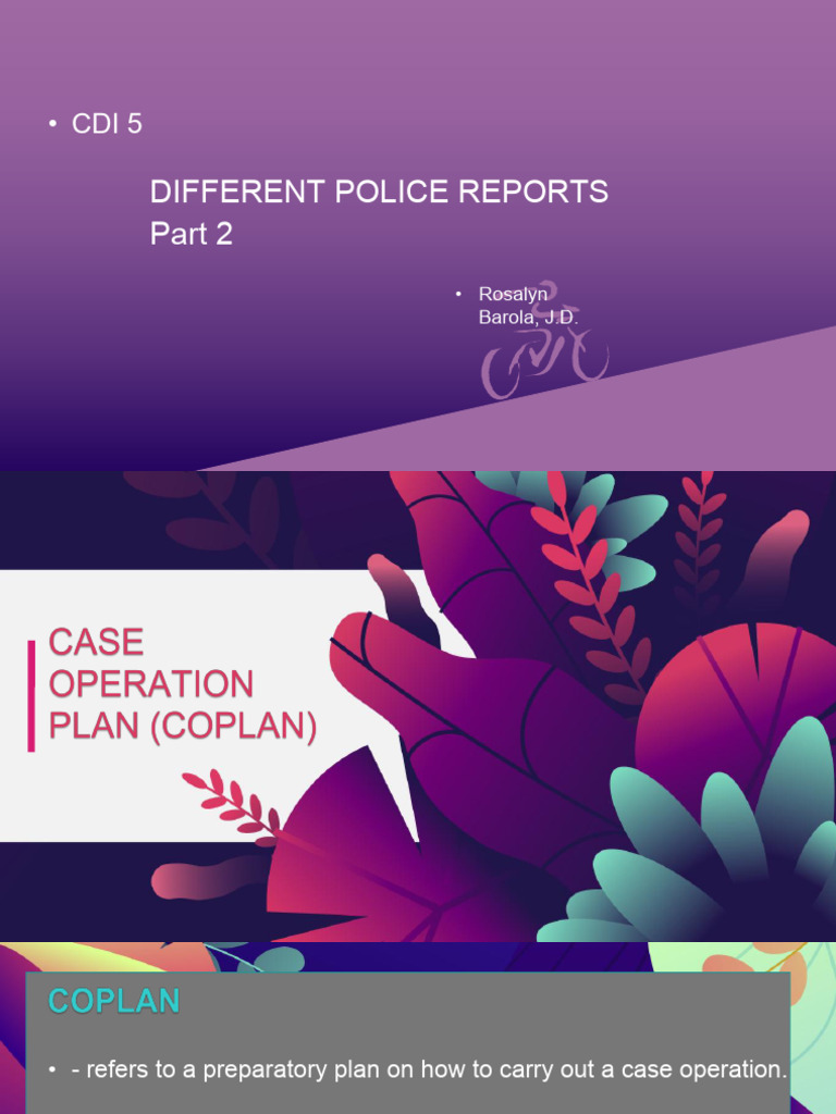 DIFFERENT-POLICE-REPORTS-part-2 | PDF