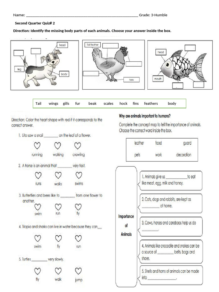 science 3 quiz 2 quarter 2 | PDF