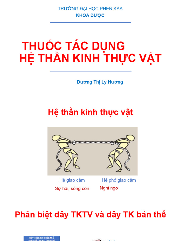 2024, THUỐC TÁC DỤNG TRÊN TKTV-3 | PDF