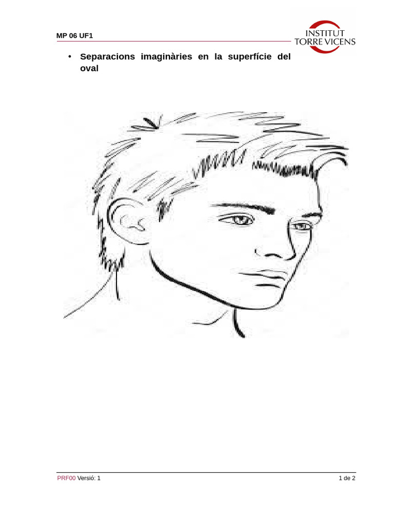 Activitat Dibuixar Rasura | PDF