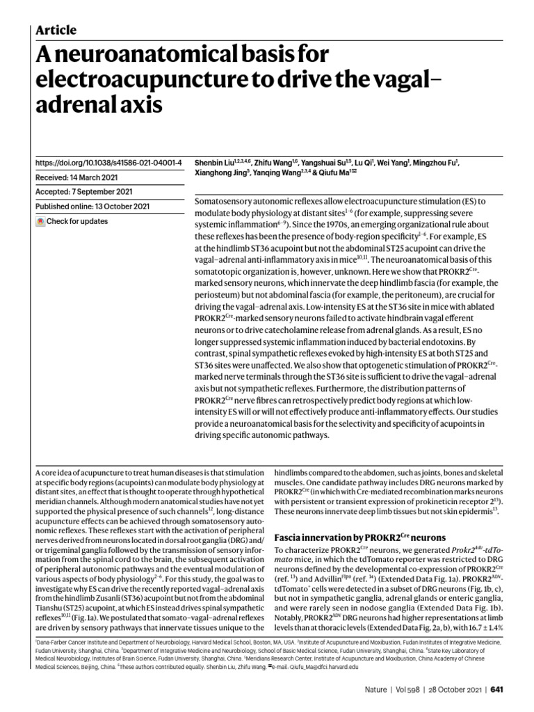 A Neuroanatomical Basis For Electroacupuncture To Drive The Vagal ...