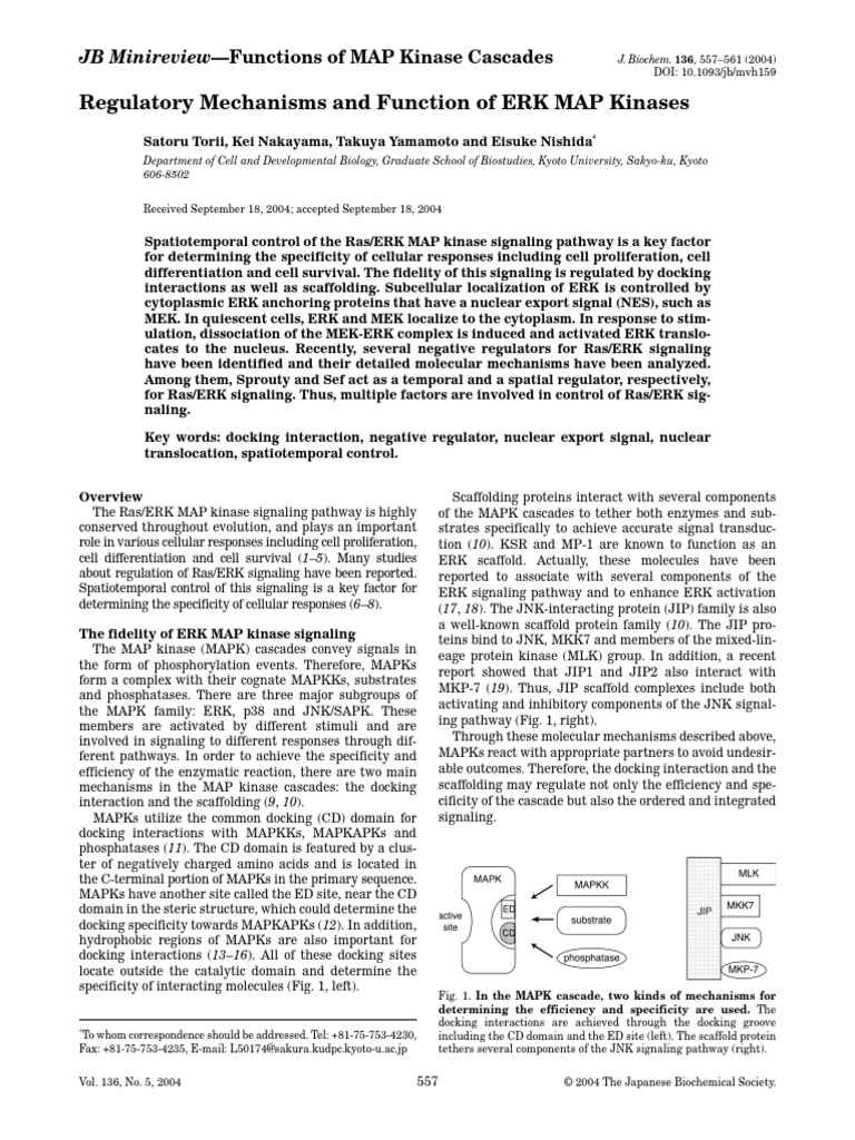Regulatory Mechanisms and Function of ERK MAP Kinases | PDF ...
