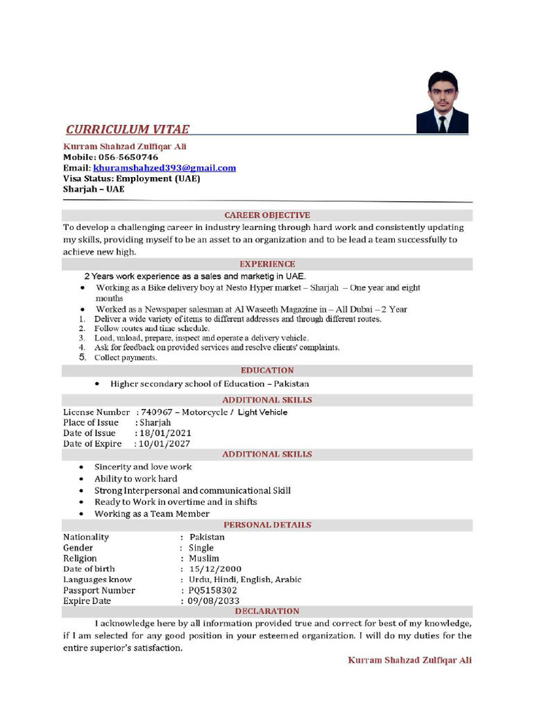 My cv | PDF