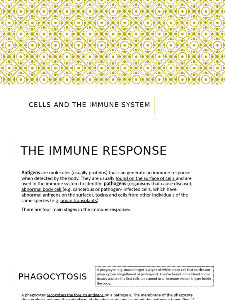 Cells and The Immune System | PDF | Immune System | Phagocyte