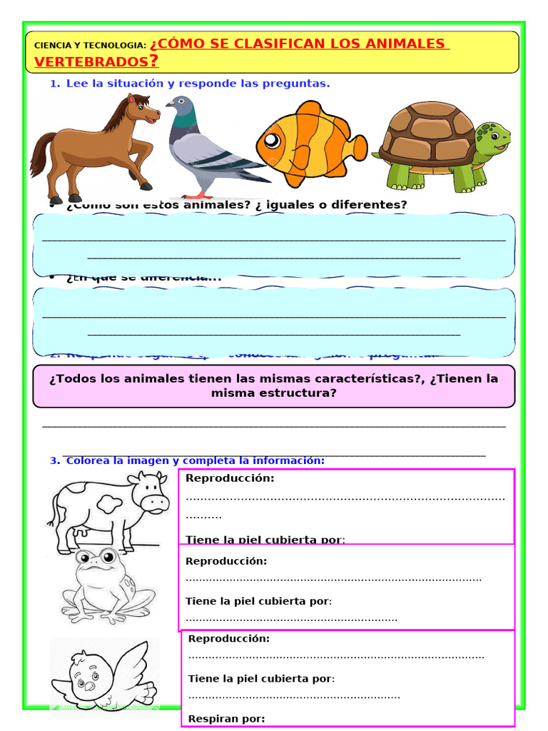 Clasificación de Animales Vertebrados | PDF | Juegos y actividades | Arte