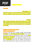 Five Cardinal Signs of Inflammation | PDF | Inflammation | Nonsteroidal ...