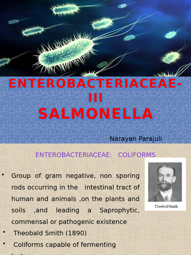Enterobacteriaceae Salmonella | PDF | Salmonella | Lipopolysaccharide