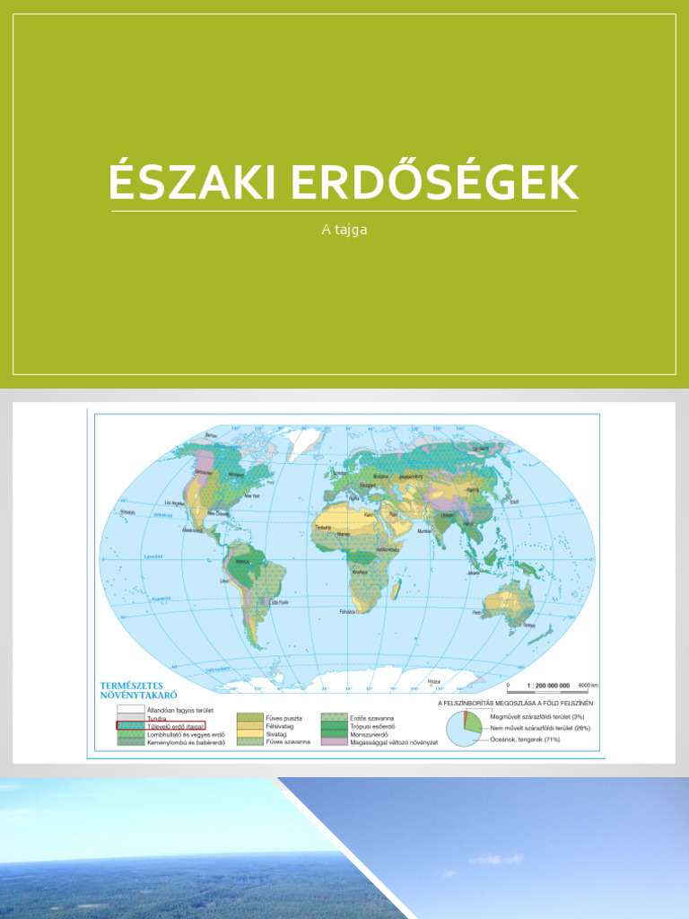 Tajga És Tundra | PDF