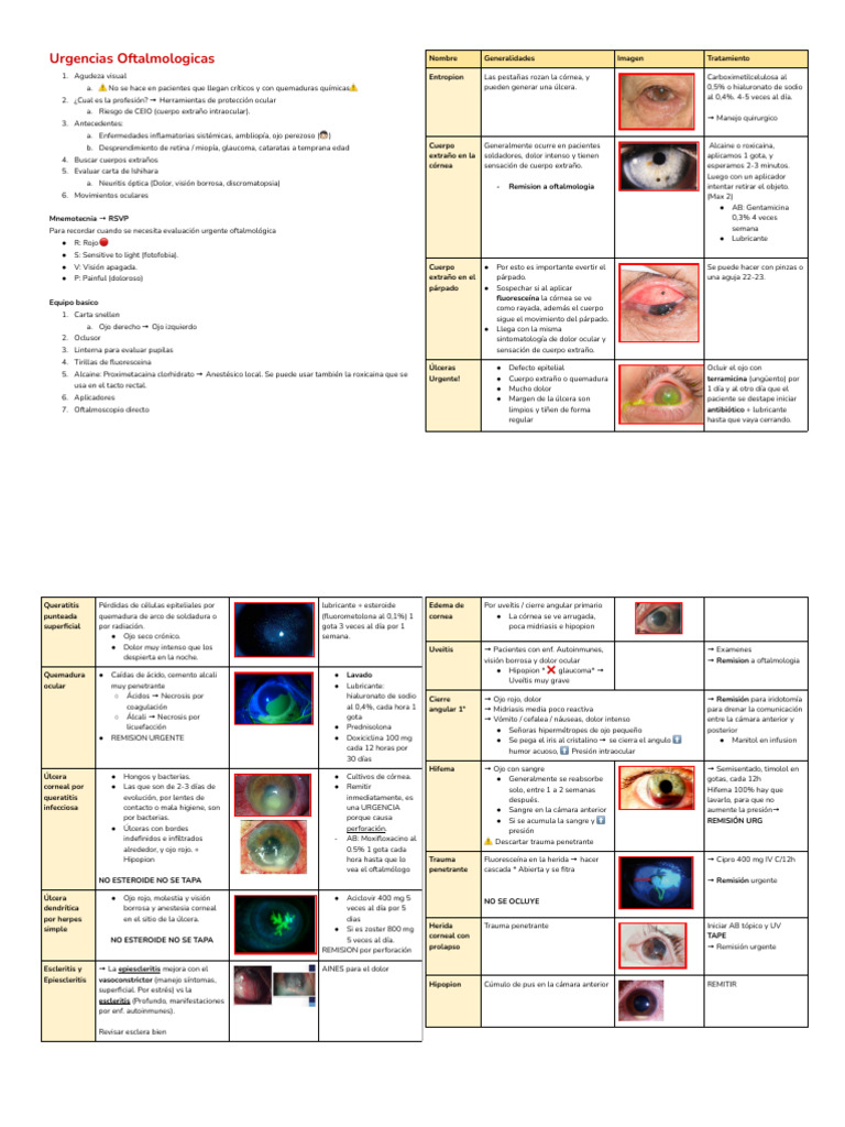 Resumen Oftalmo | PDF | Oftalmología | Ojo humano