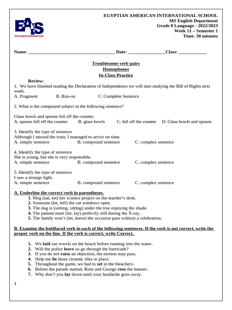 W11 Lang8 Troublesome Verb Pairs and Homophones In-Class Practice | PDF
