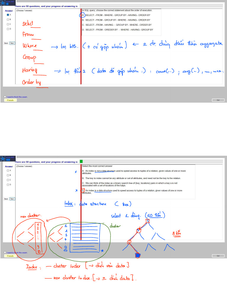 Dbi202 Su24 Fe | PDF