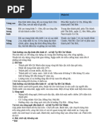 Vị Trí Địa Lí TP Hồ Chí Minh | PDF