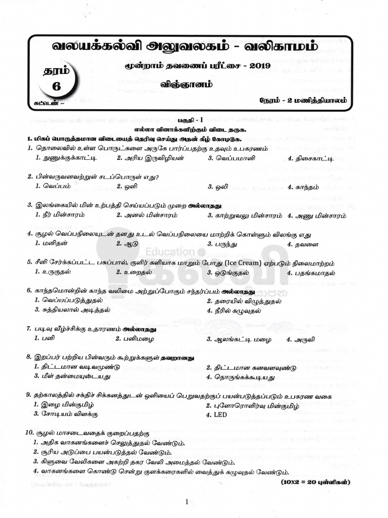 Gr6 Ta Science 2019 Term 3 | PDF
