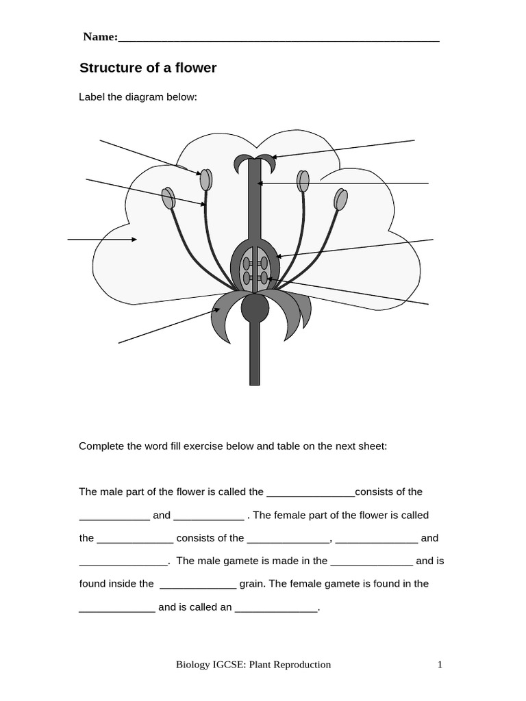 Flower Structure and Reproduction Guide | PDF | Flowers | Pollination