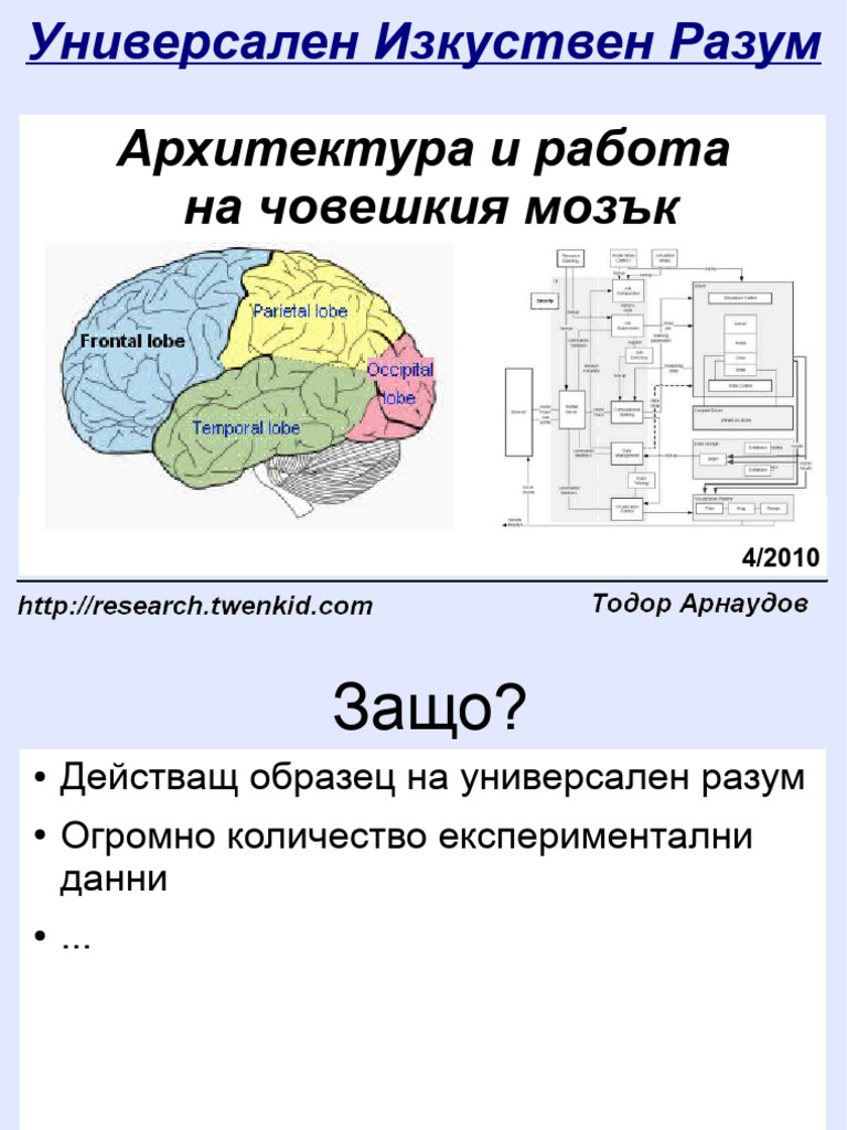 Brain Architecture 22 4 2010 | PDF