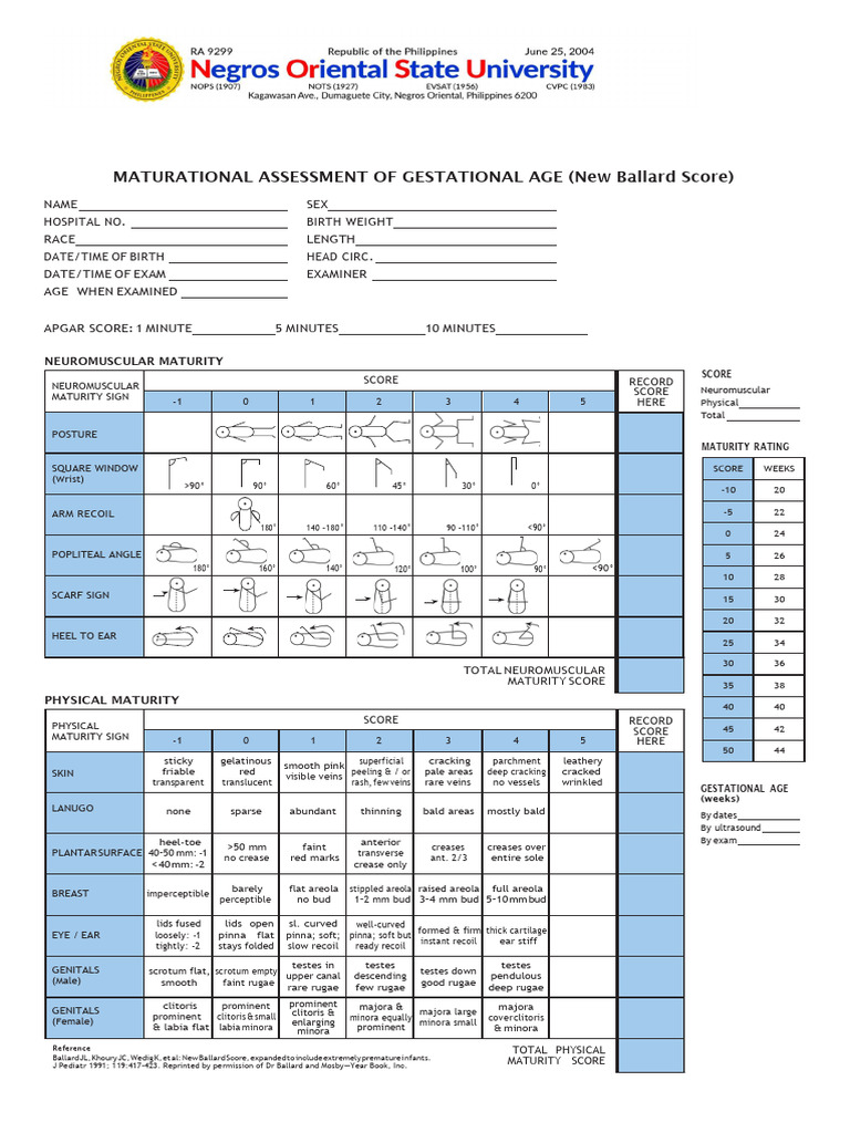 Ballards Scoring | PDF
