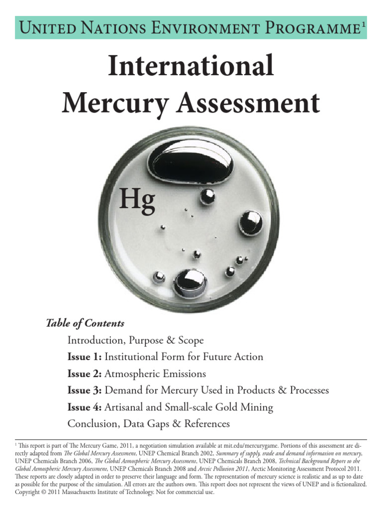 HG Game - IMA Assessment | PDF | Mercury (Element) | Natural Environment