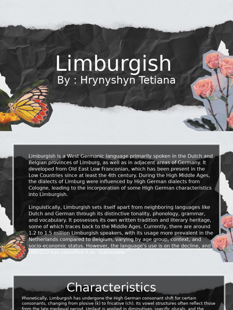 Limburgish Presentation | PDF | Linguistics | Languages