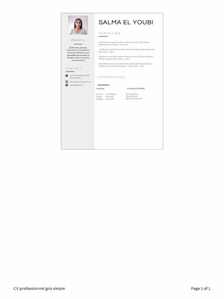 CV Professionnel Gris Simple (1) | PDF