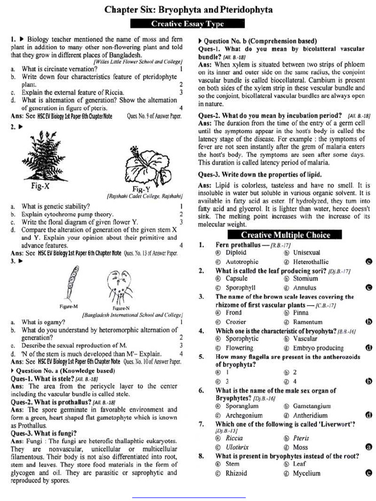 Ev HSC Biology 1 6th Chapter MCQ Question Answer | PDF | Teaching ...