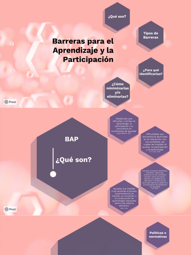 Barreras para El Aprendizaje y La Participacion Escuelas | PDF