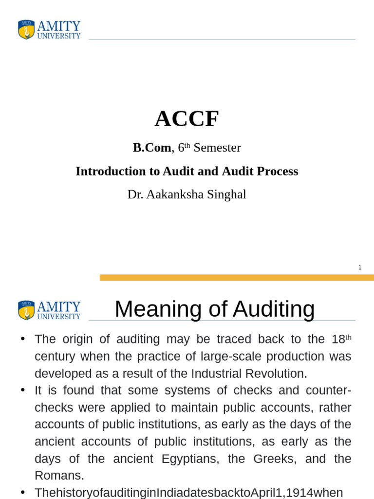 Introduction To Audit and Audit Process | PDF | Audit | Financial ...