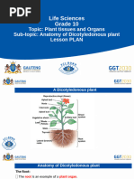 Population Ecology Grade 11 | PDF | Eusociality | Science & Mathematics
