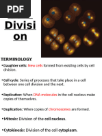 Grade 10 Mitosis Notes | PDF | Mitosis | Meiosis