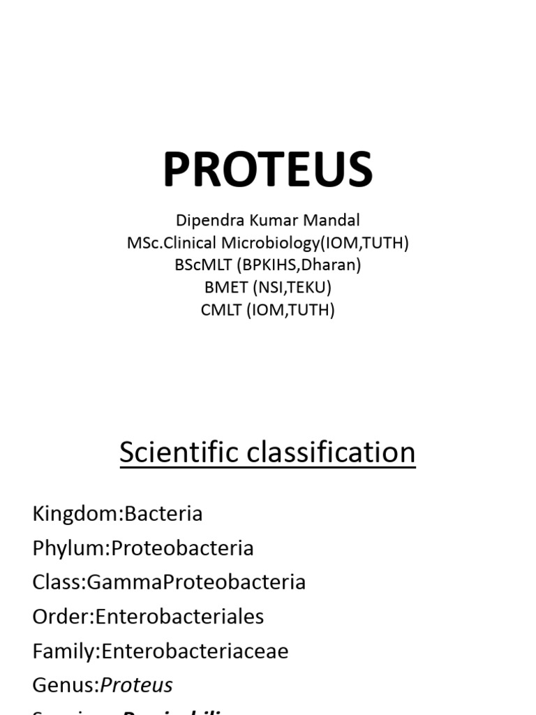 Proteus BSCMLT | PDF | Microbiology | Bacteria